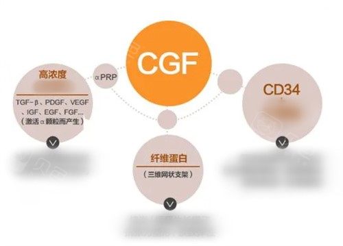 cgf种植牙新技术是个啥?是未来种植牙的新方向吗? - 贝色口腔